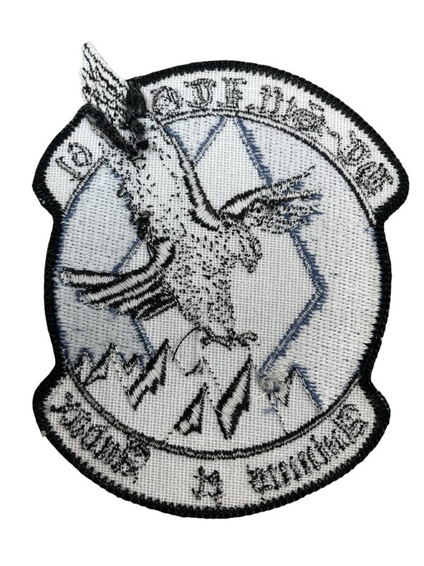 German Air Force Air Transport Wing 61 Squadron Patch - Military ...